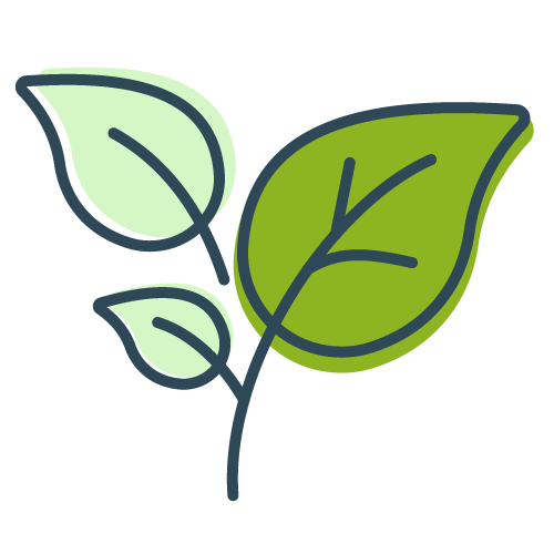 Fresh Tea People – Presotea Australia